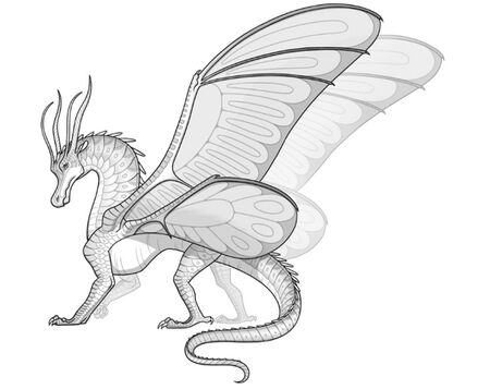 SilkWings - Wings of Fire Wiki